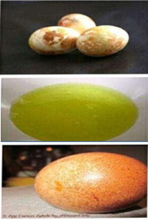 Microbial spoilage of eggs and preservation of eggs from spoilage ...